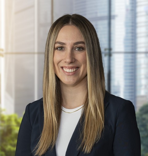 Seltzer Caplan McMahon Vitek: San Diego Law Firm